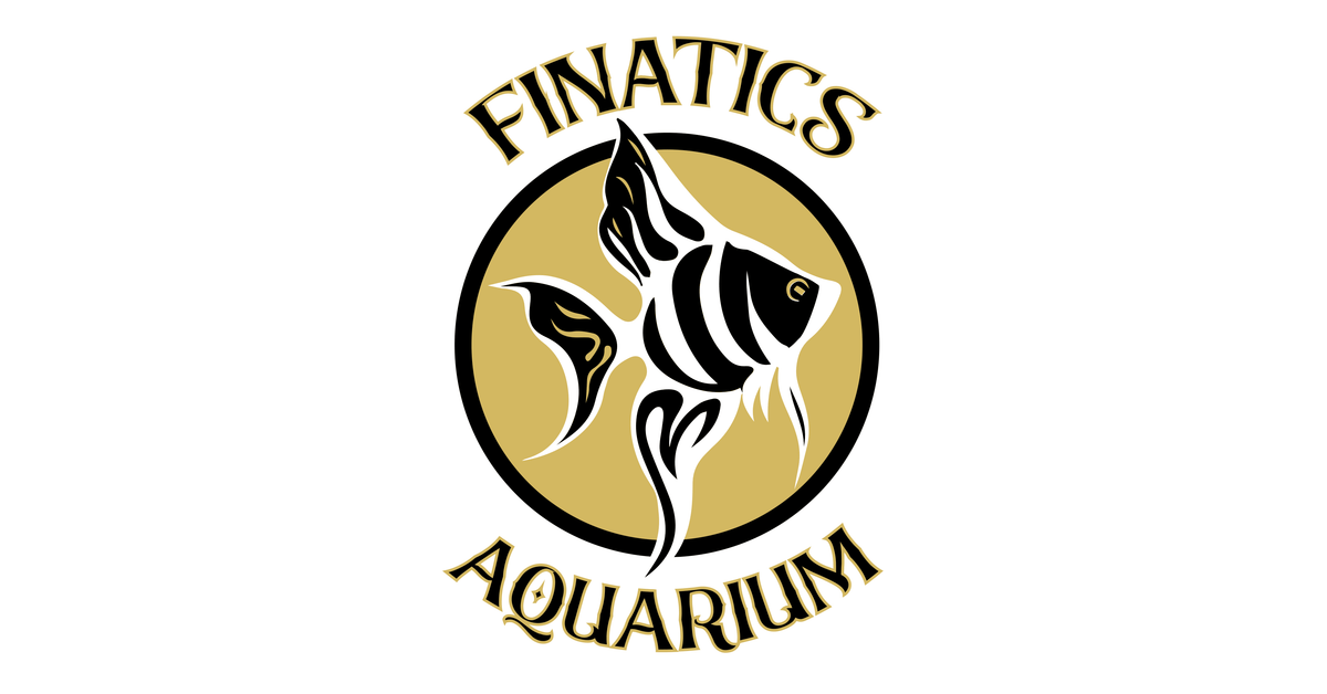 Pleco – Page 2 – Finatics Aquarium
