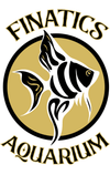 Finatics Aquarium | Exotic & Freshwater Fish Store – Livermore CA