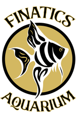 Finatics Aquarium | Exotic & Freshwater Fish Store – Livermore CA